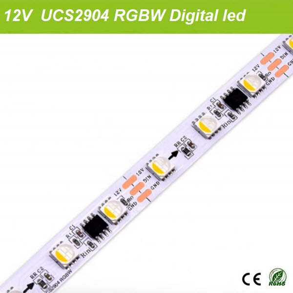 12V UCS2904 RGBW Digital|Greeled