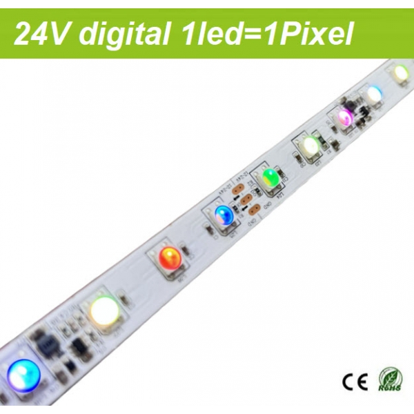 24V RGBW each led addressable|Greeled