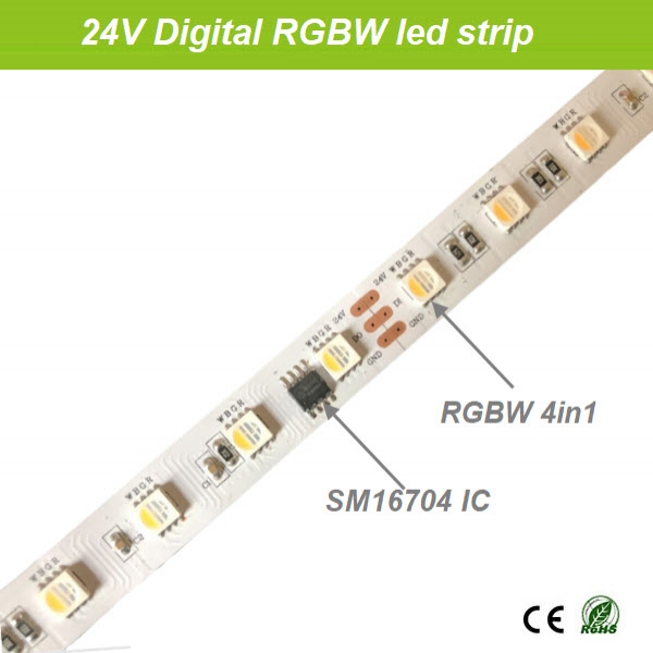 24V Digital RGBW led strip-SM16704|Greeled